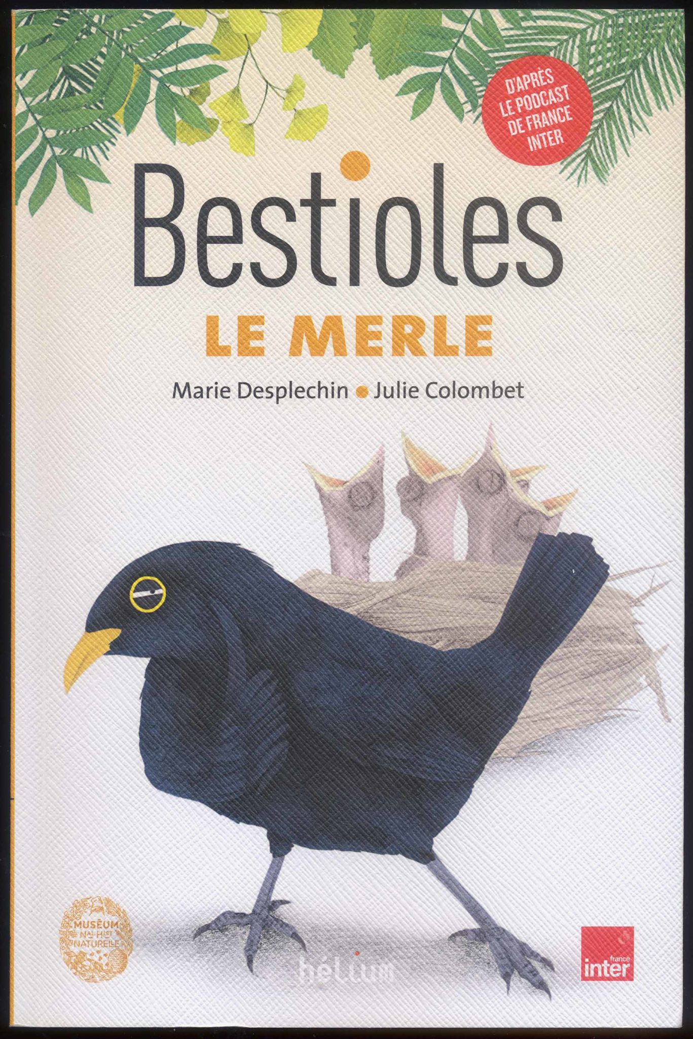 Bestioles Le merle - Livres d'enfants